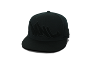 WIPCAPS.COM – WIP CAPS