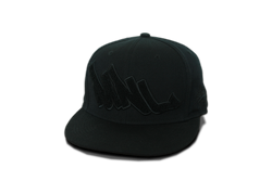 WIPCAPS.COM – WIP CAPS