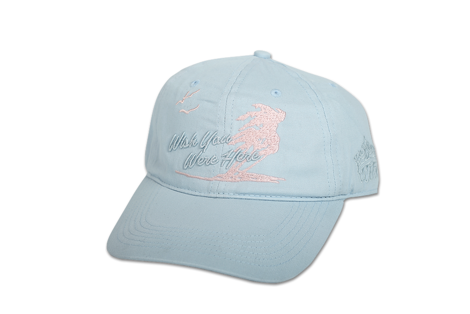 Headwear – WIP CAPS