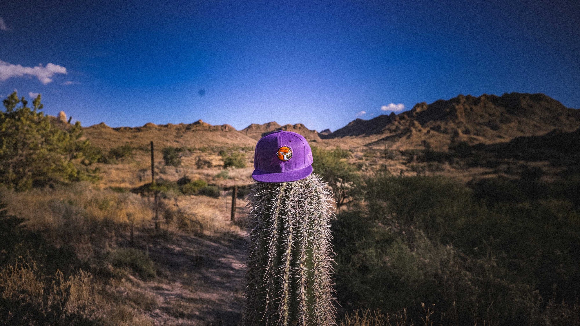 WIPCAPS.COM – WIP CAPS